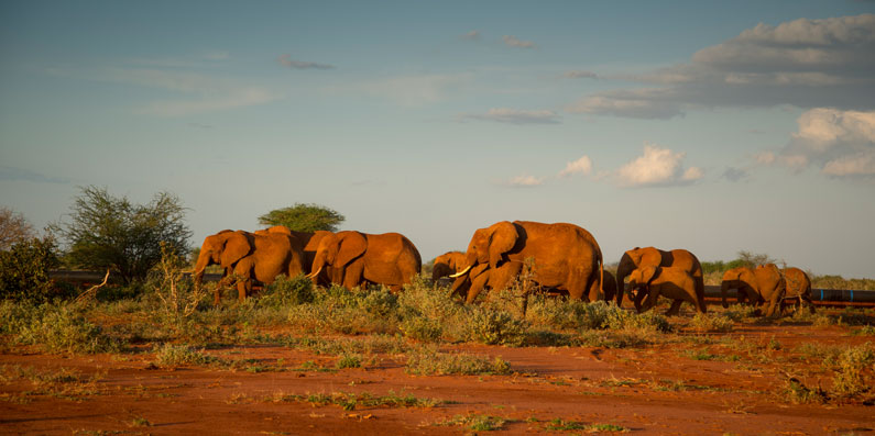 Documenting East Africa’s threatened environment | The Aga Khan ...