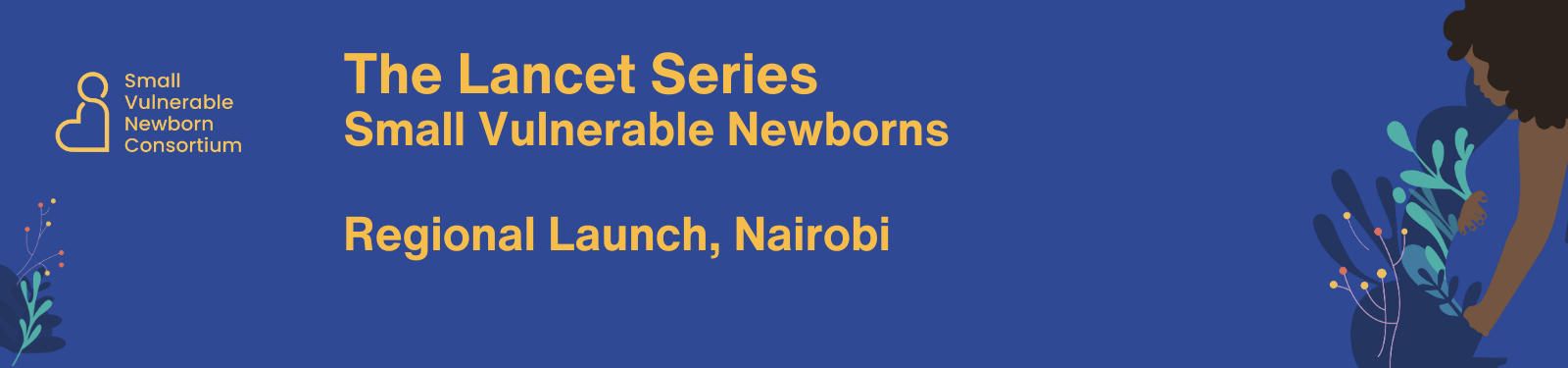 Small Vulnerable Newborns (SVN)