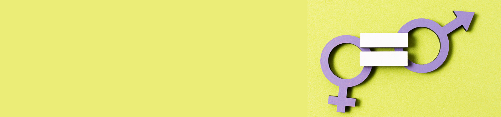 Advancing Gender Equality through Civil Society | Graduate School of ...