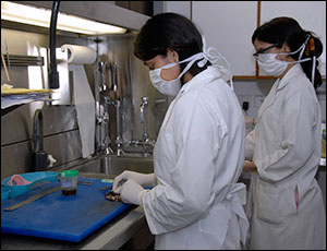 Histopathology Pathology & Microbiology | MC, Pakistan | Aga Khan ...