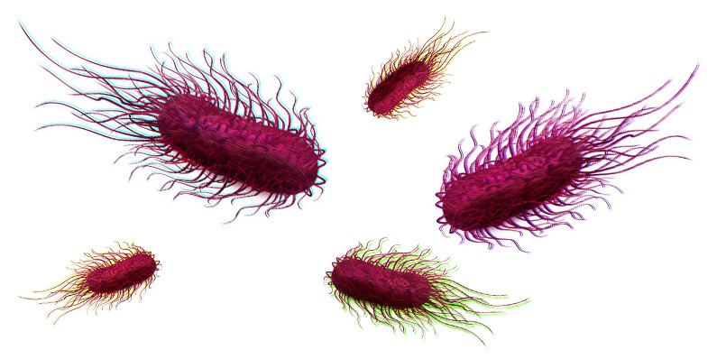 Shigella research at AKU