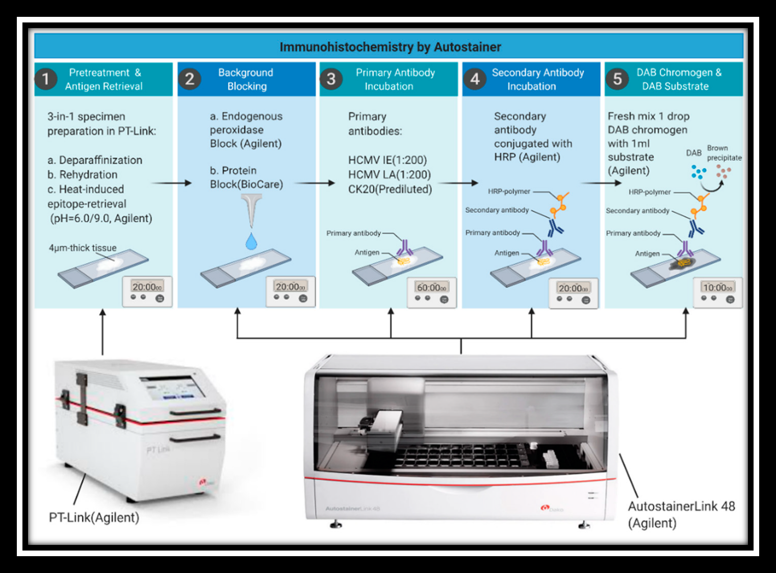 Technical Briefs | LABRAD | MC, Pakistan | The Aga Khan University