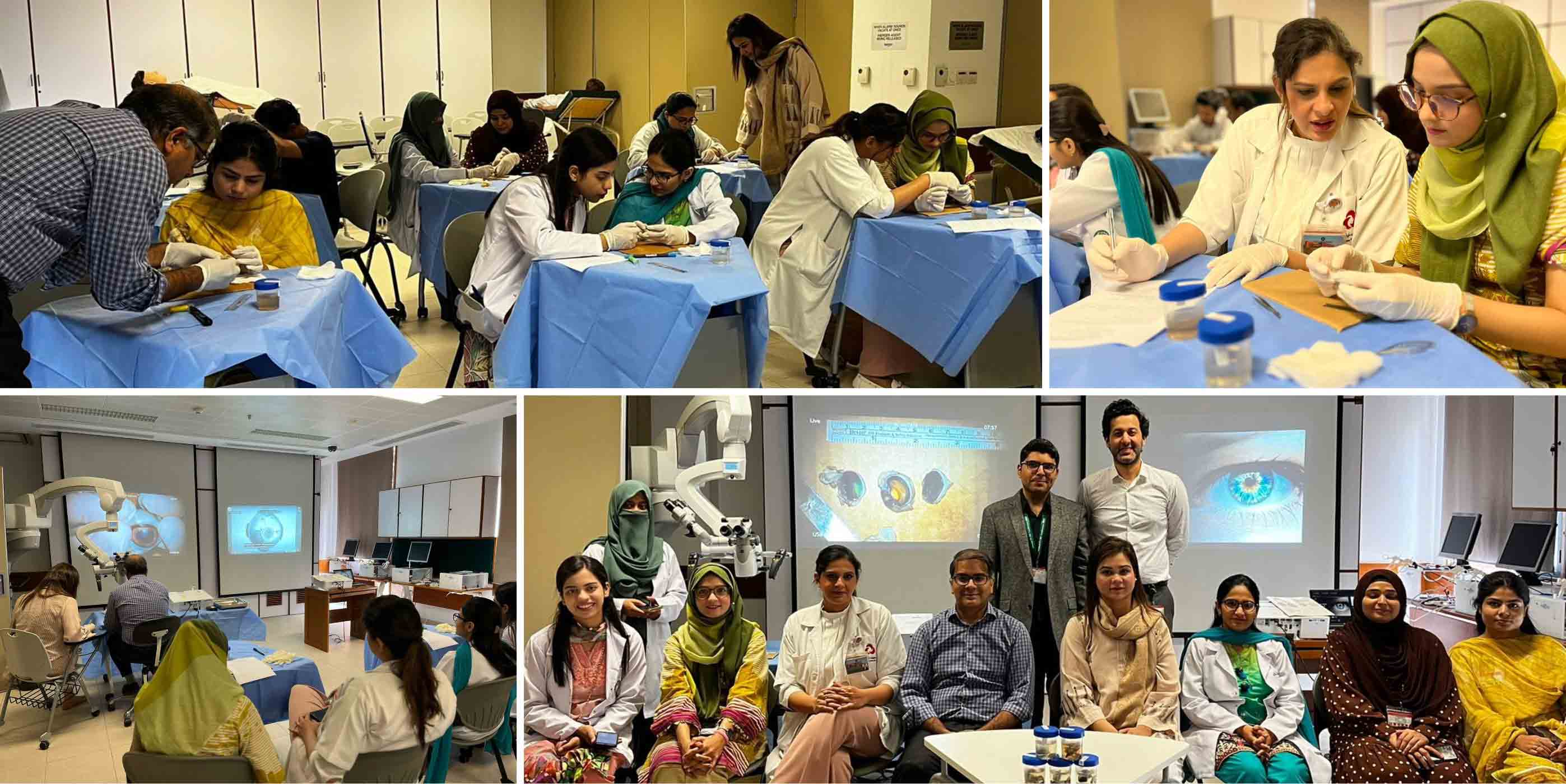 Pioneering wet lab pathology simulation unveils eye's intricacies | The ...